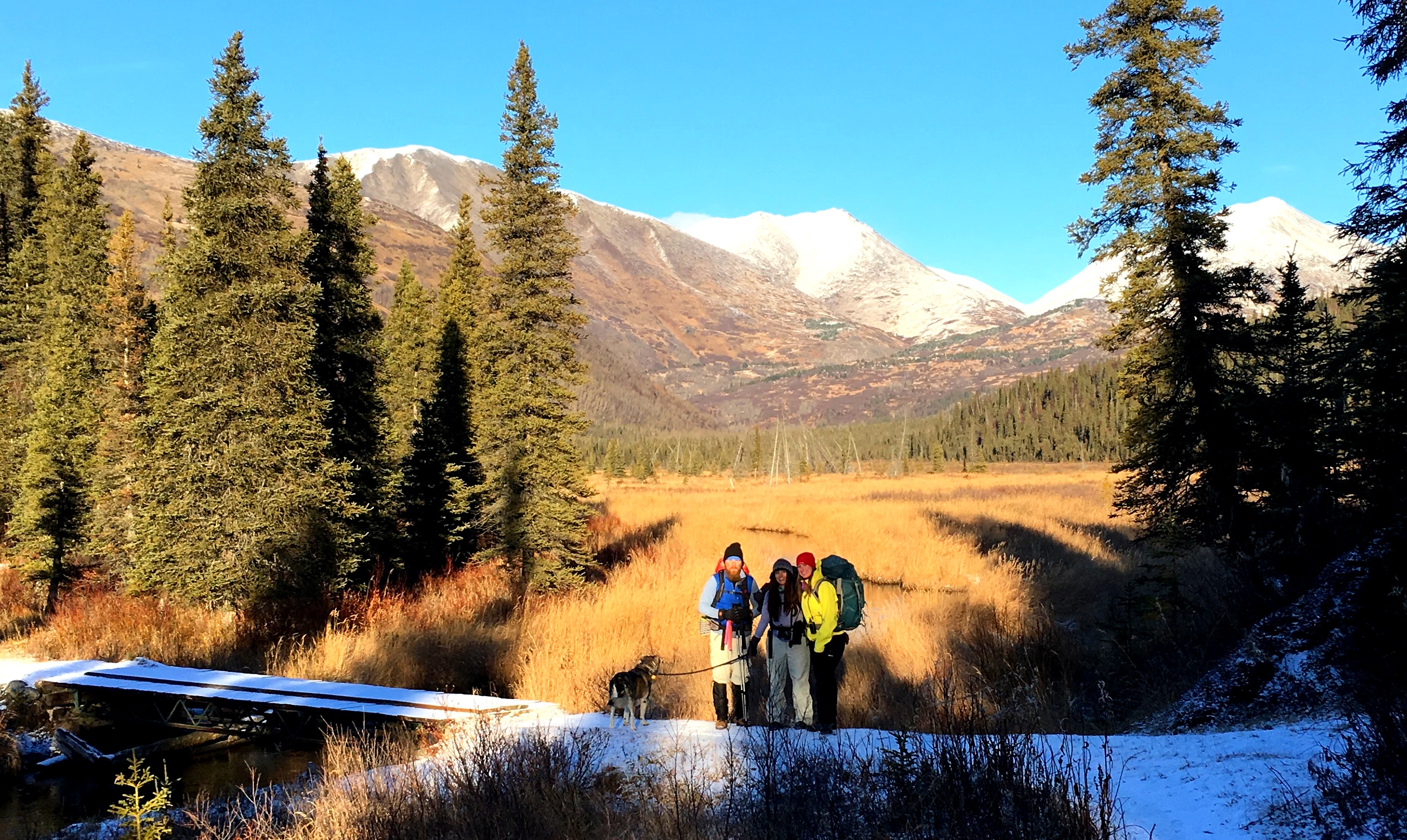 Adventures in Alaska: Hiking the Resurrection Pass Trail – thetraveledtrail