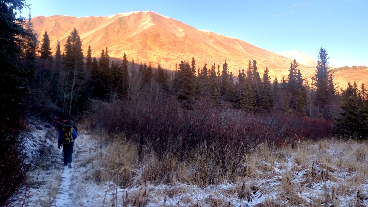 Adventures in Alaska: Hiking the Resurrection Pass Trail – thetraveledtrail